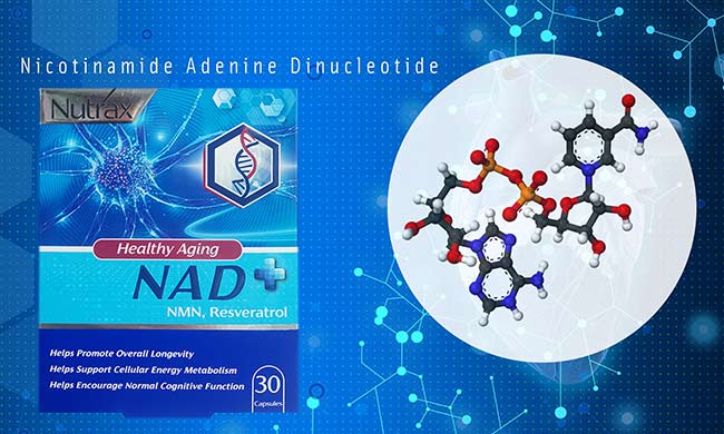 قیمت نوتراکس ان ای دی پلاس +Nutrax NAD