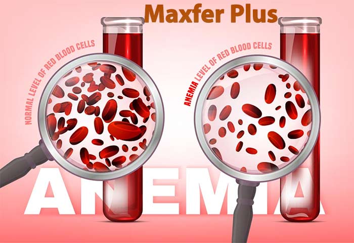 قیمت و خرید قرص آهن مکسوفر پلاس ویرالیان maxofer plus