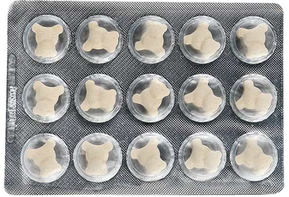 خرید و قیمت قرص جویدنی ولگات گام اند گات پروزیست زیست تخمیر